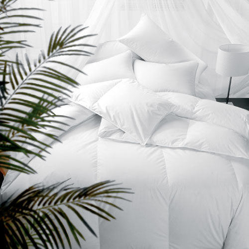 Cloud Nine Comforts®