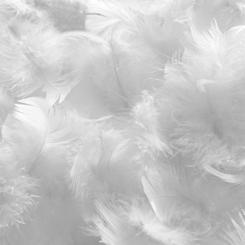 Pillow Finder - Pillows.com