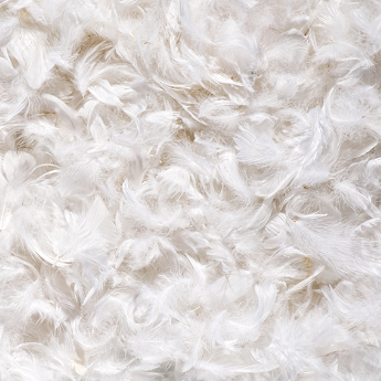 Pillow Finder - Pillows.com